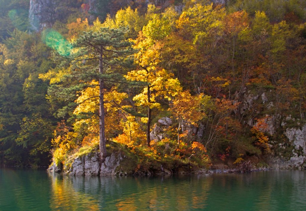 Tara National Park with the Drina River Canyon • STILL IN BELGRADE