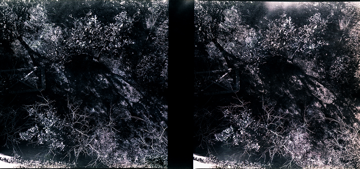 Photography Exhibition: Stereometric Principles or Depth Adoration ...