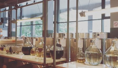 5 Types of RAKIA You Need to Try! • STILL IN BELGRADE