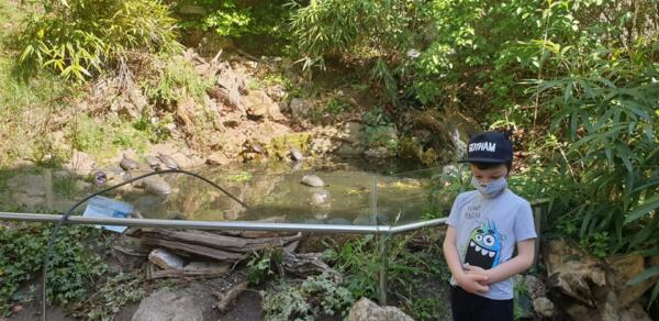 A pocket-sized insider’s guide to the best of Dedinje (and Senjak ...