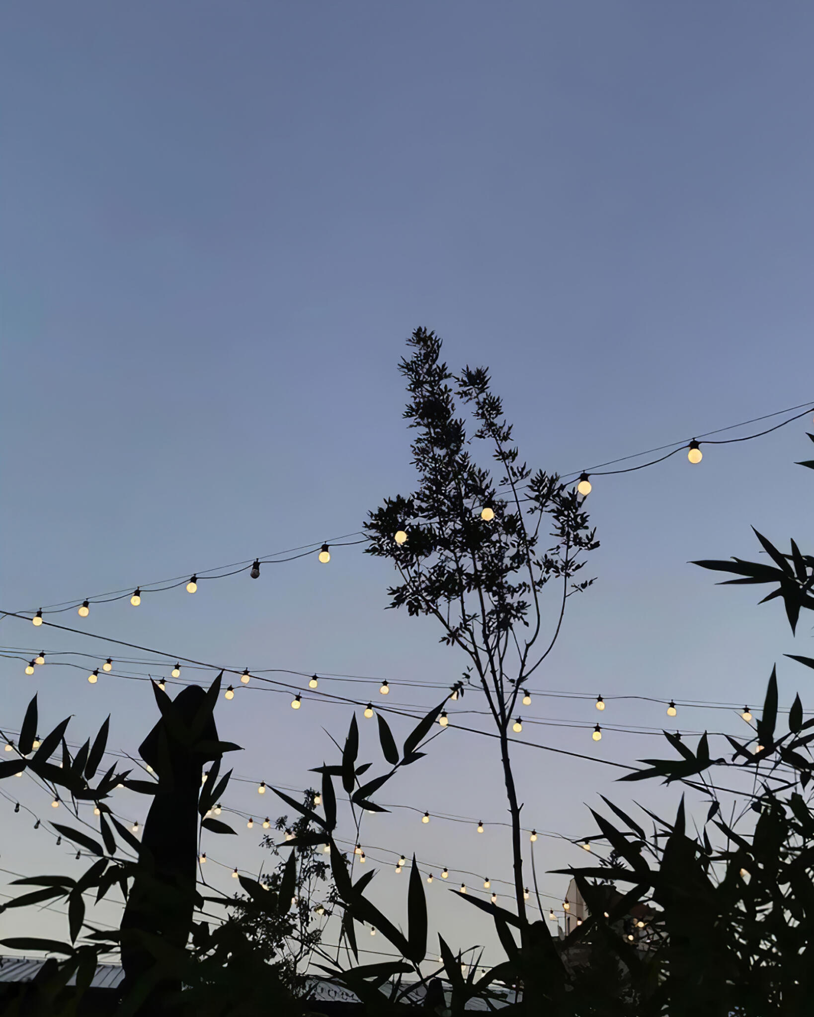 Belgrade Summer Guide 2024: Swimming Pools, River Beaches & Open-Air ...