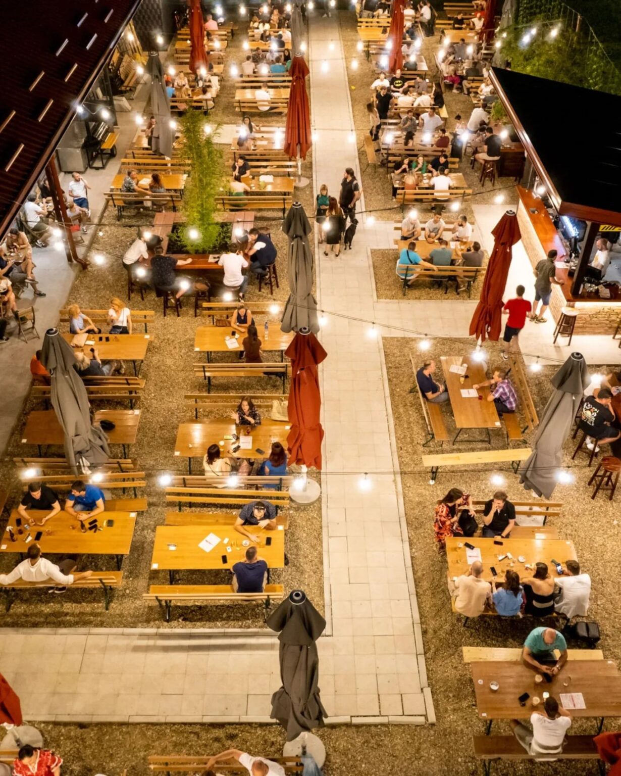 A Guide to the Trendy Quarter Lower Dorcol! • STILL IN BELGRADE